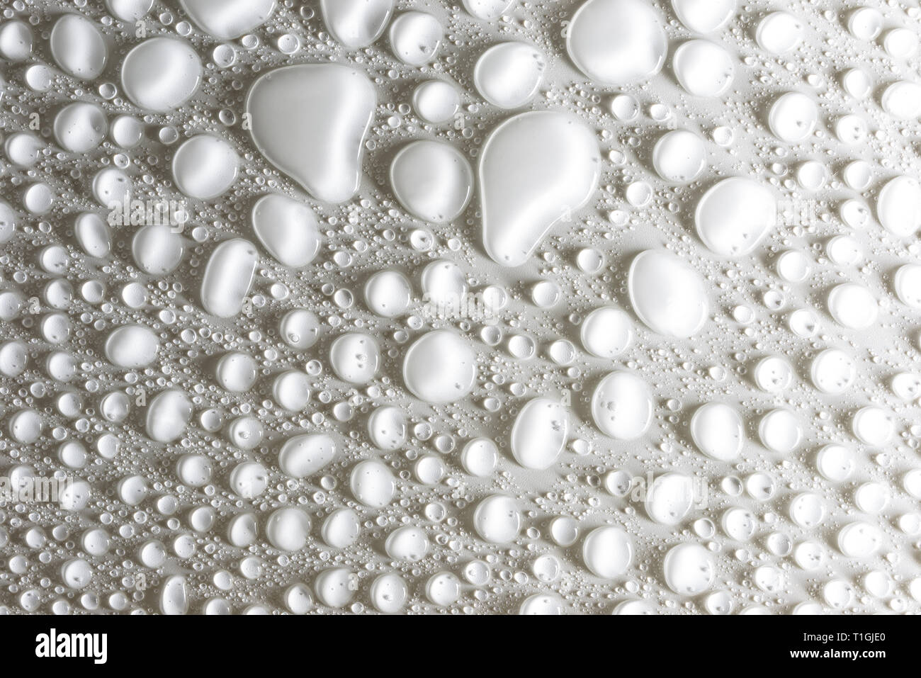 Droplets of water on a white, matte background illuminated with a ...