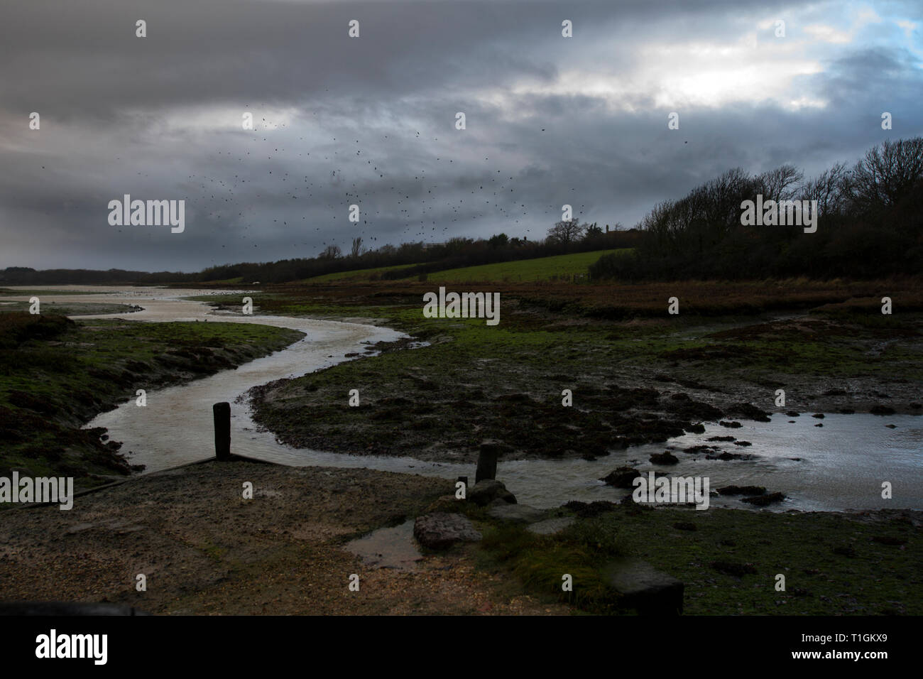 Golden gully hi-res stock photography and images - Alamy