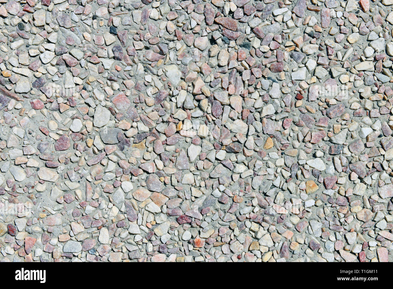 Lovely light colored wall made with colorful pebble stones. Texture of ...