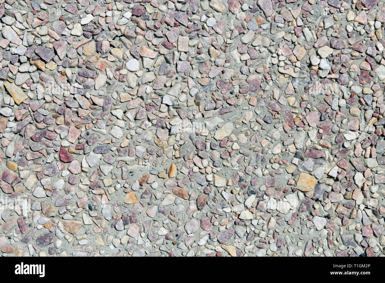 Lovely light colored wall made with colorful pebble stones. Texture of ...