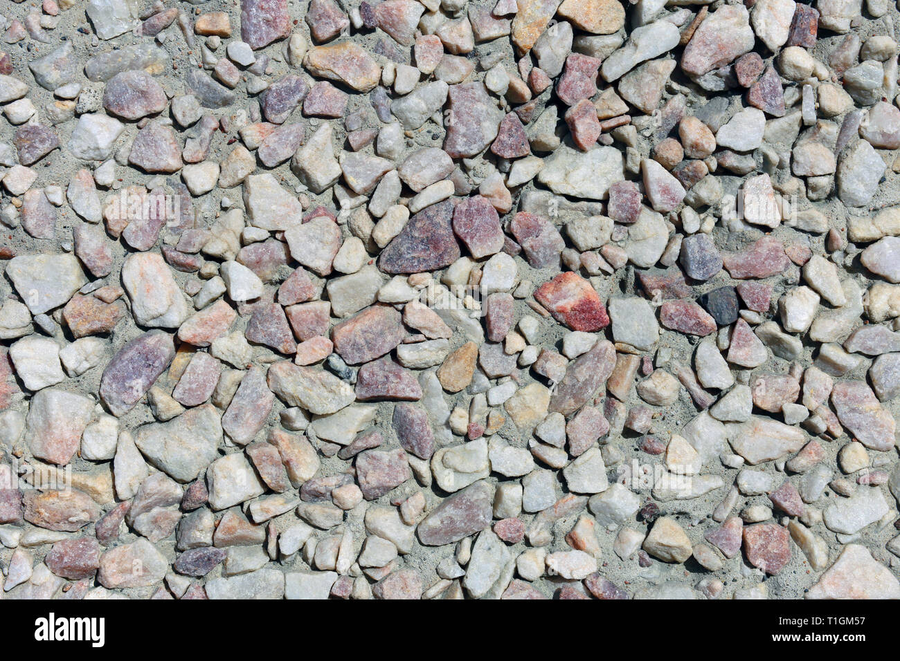 Lovely light colored wall made with colorful pebble stones. Texture of ...