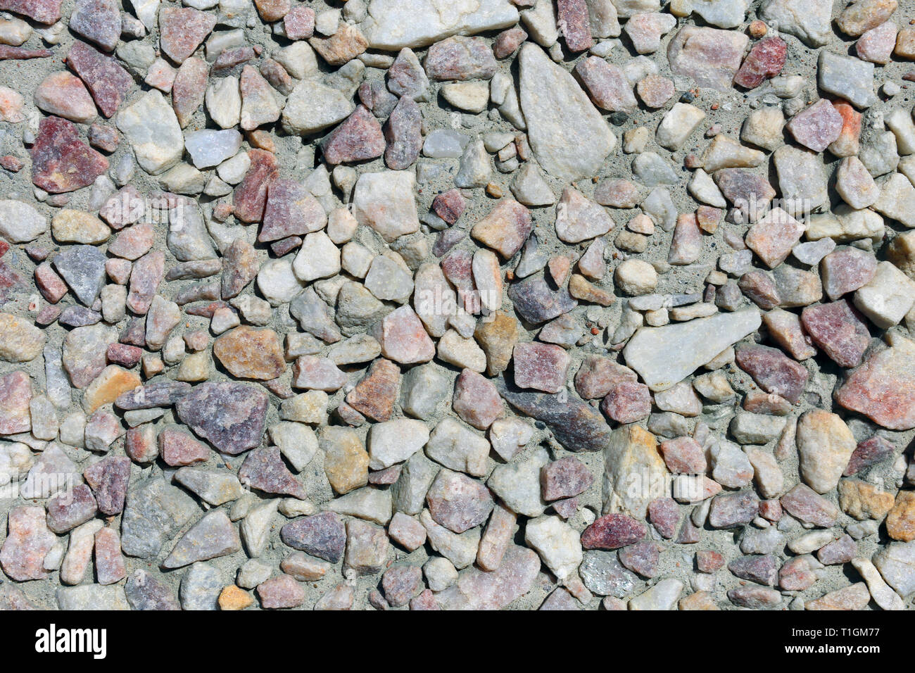 Lovely light colored wall made with colorful pebble stones. Texture of ...
