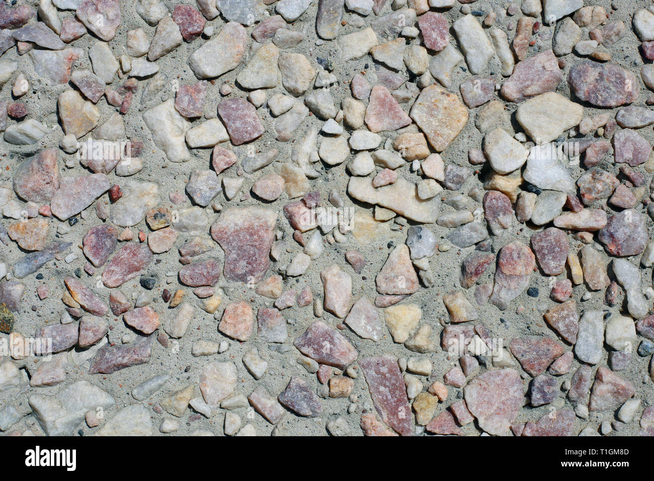 Lovely light colored wall made with colorful pebble stones. Texture of ...