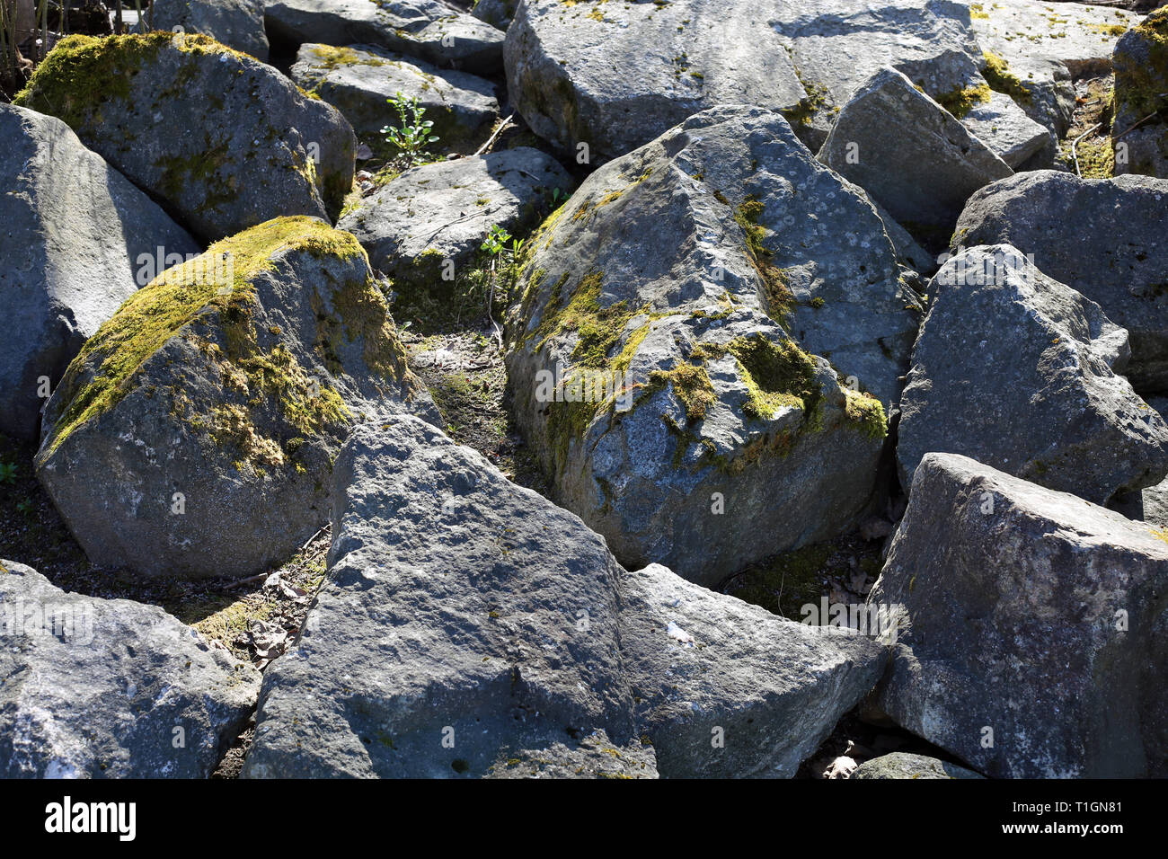 A pile of big grey rocks in a close up. Some of the rocks have some ...