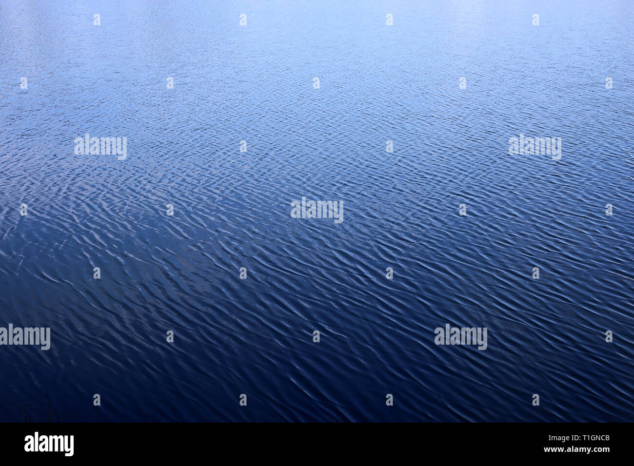 Texture of the waves of a sea. Beautiful ombre colored surface includes ...