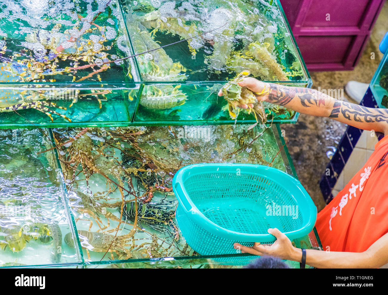 February 2019. Patong Thailand. Live seafood for sale at The Banzaan ...