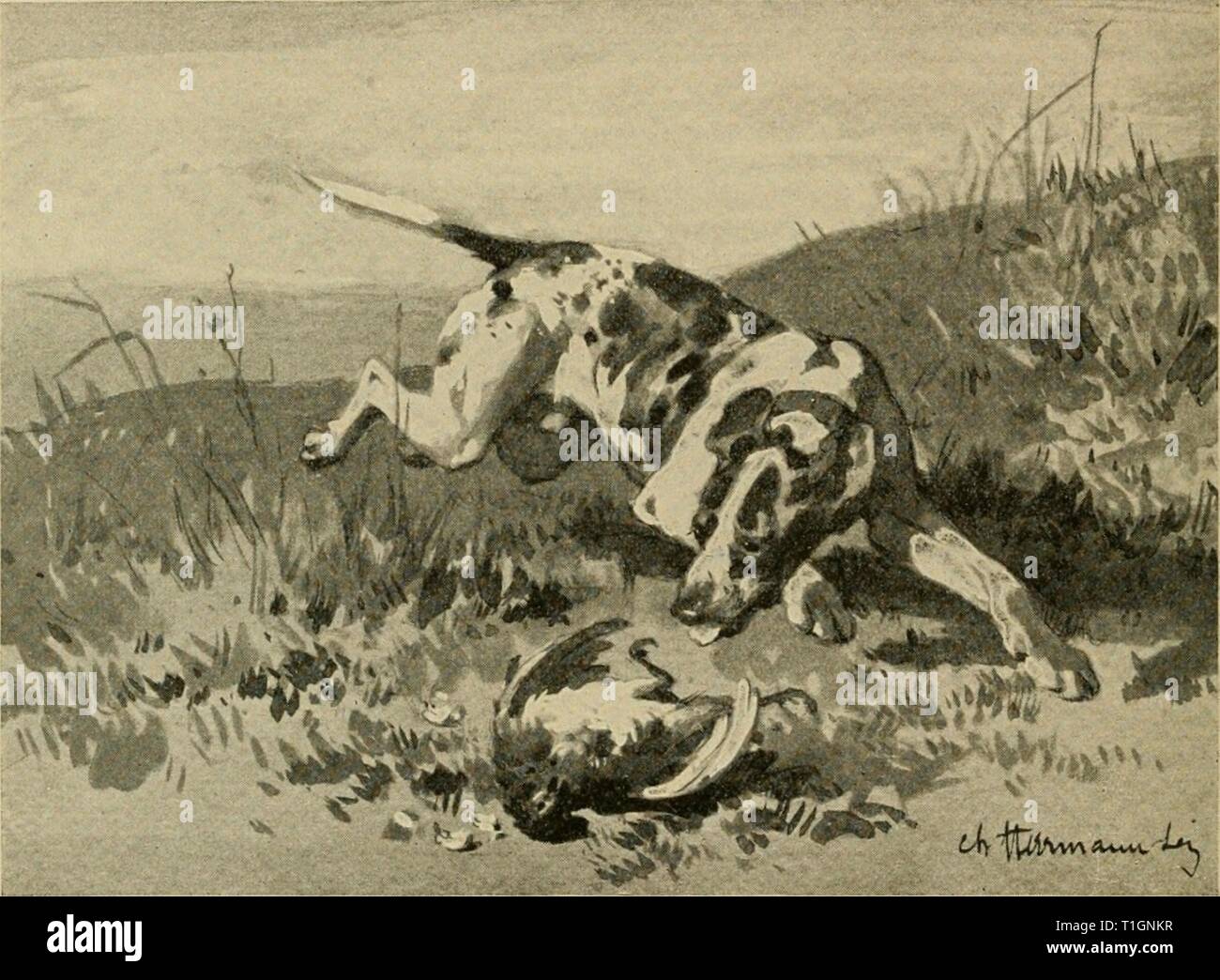 Domesticated animals, their relation to Stock Photo - Alamy