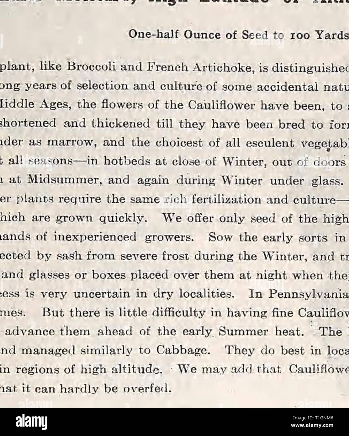 D Landreth Seed Company Stock Photo - Alamy