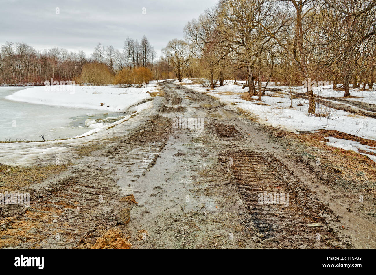Spring in the forest.Broken road in the woods.The road goes transport ...