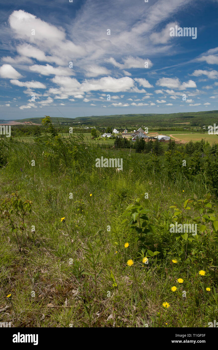 Colchester county hi-res stock photography and images - Alamy