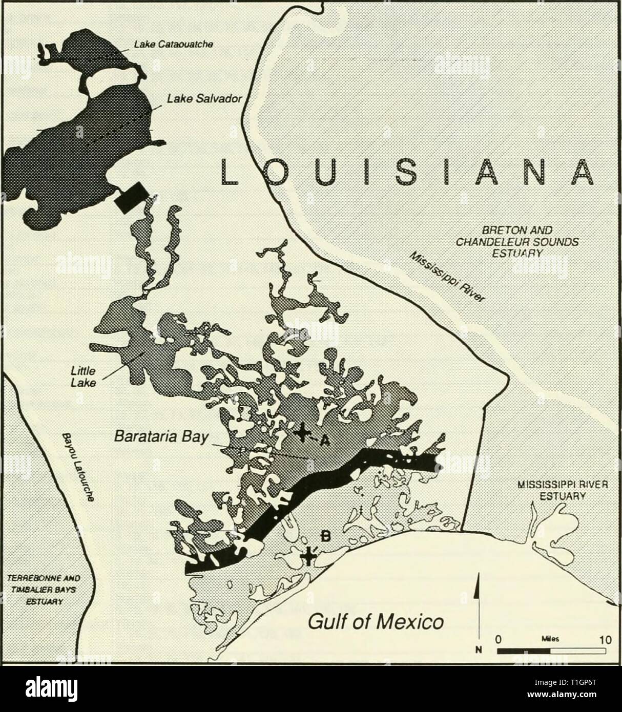 Distribution and abundance of fishes Distribution and abundance of ...