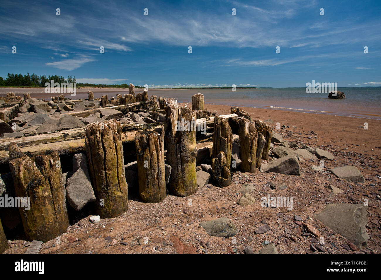 Colchester county hi-res stock photography and images - Alamy