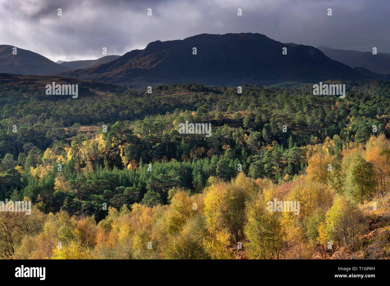 Scottish autumn scenery hi-res stock photography and images - Alamy
