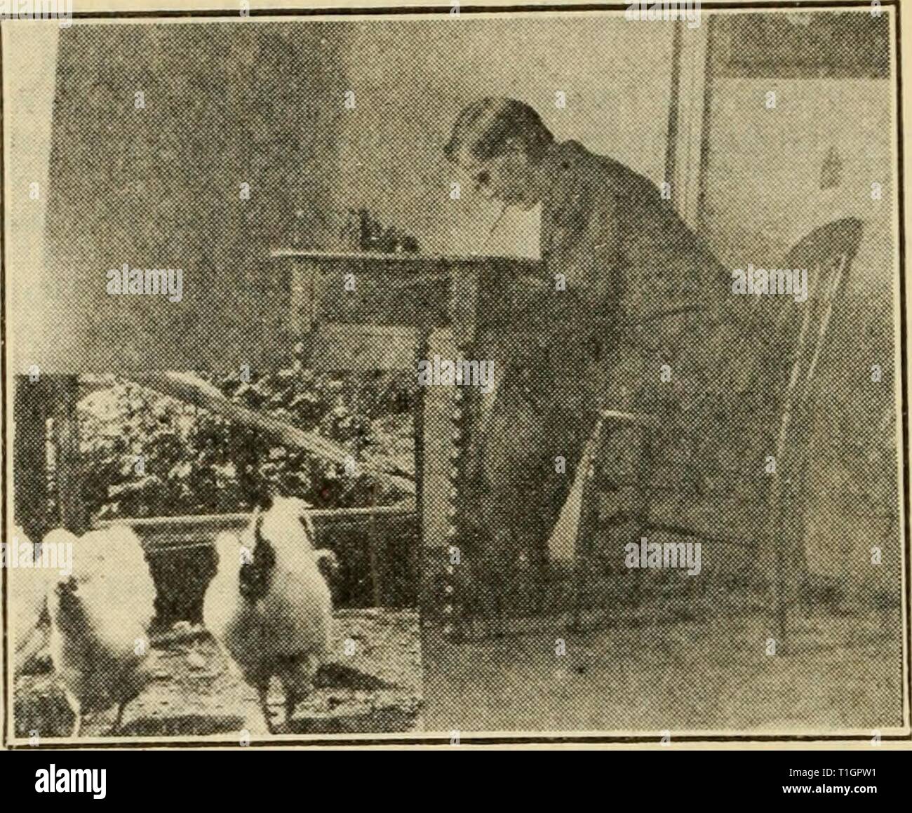 Dollars and sense in the Stock Photo - Alamy