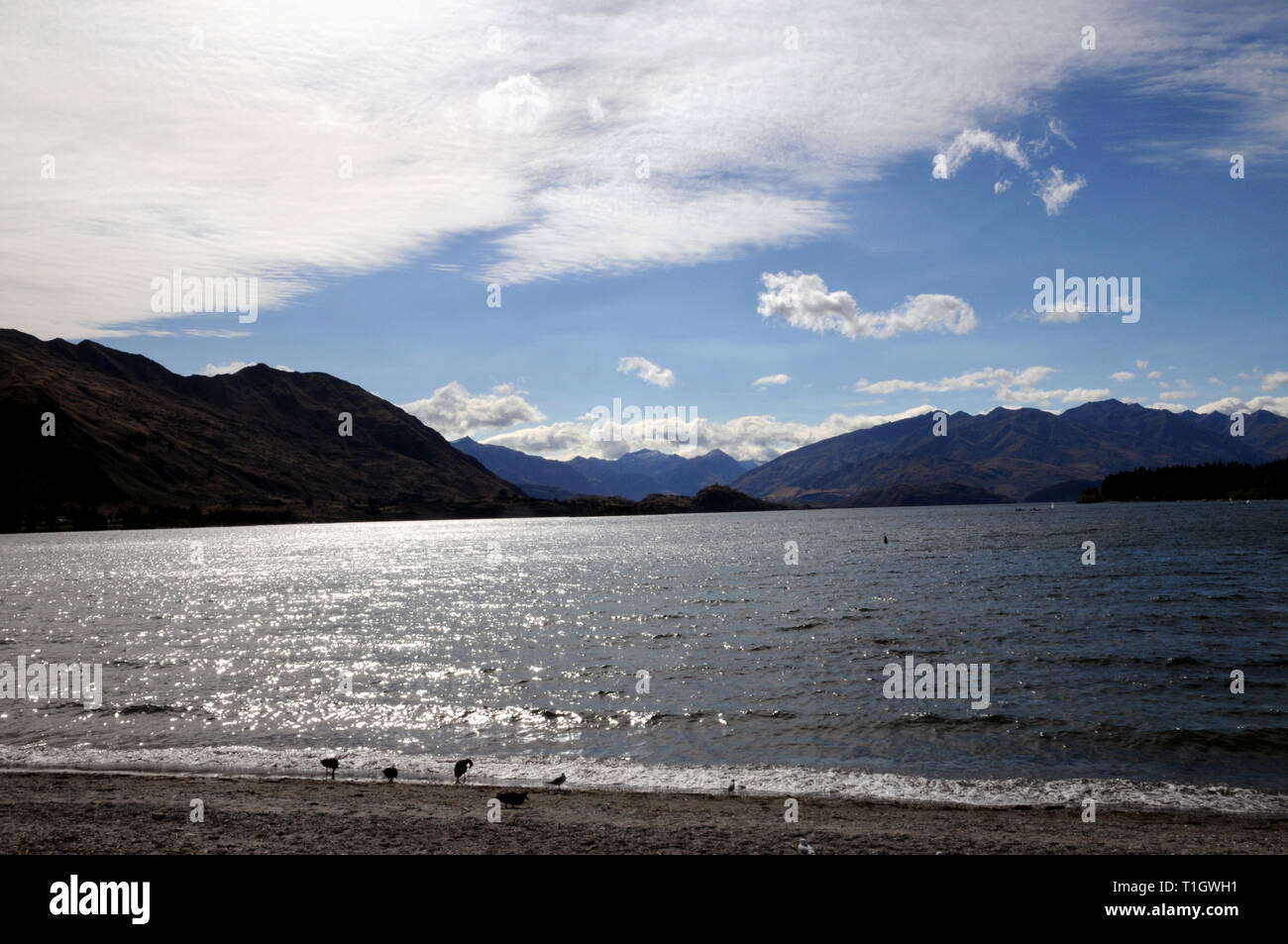 Preserved lake wanaka hi-res stock photography and images - Alamy