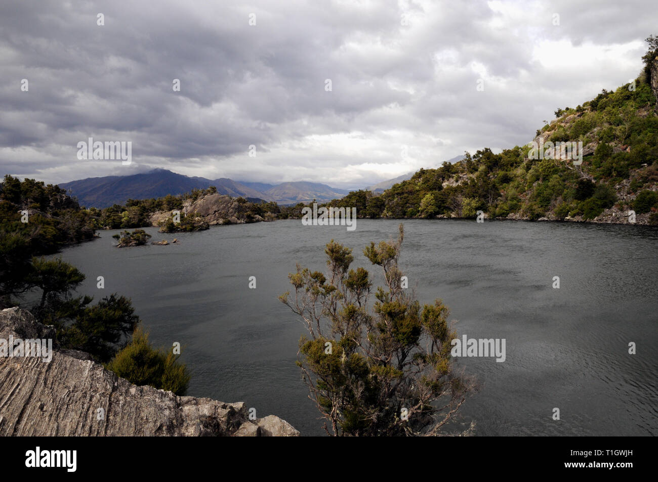 Mou Waho Island ("Outer Island" in Maori) on Lake Wanaka, South Island ...