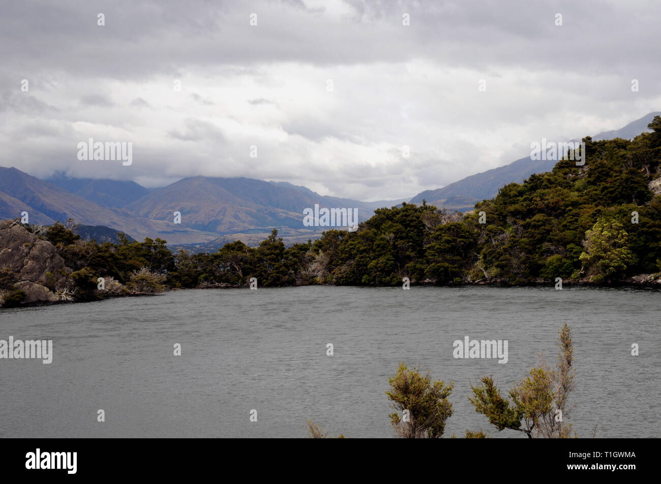 Mou Waho Island ("Outer Island" in Maori) on Lake Wanaka, South Island ...