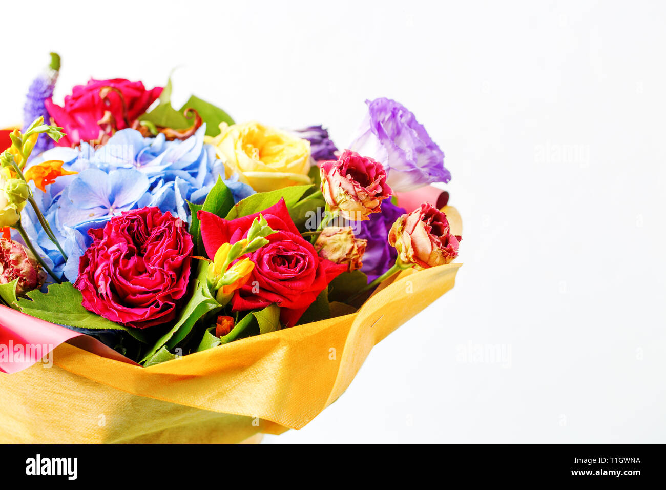 Bouquet of multicolored roses on empty white background,close up Stock ...