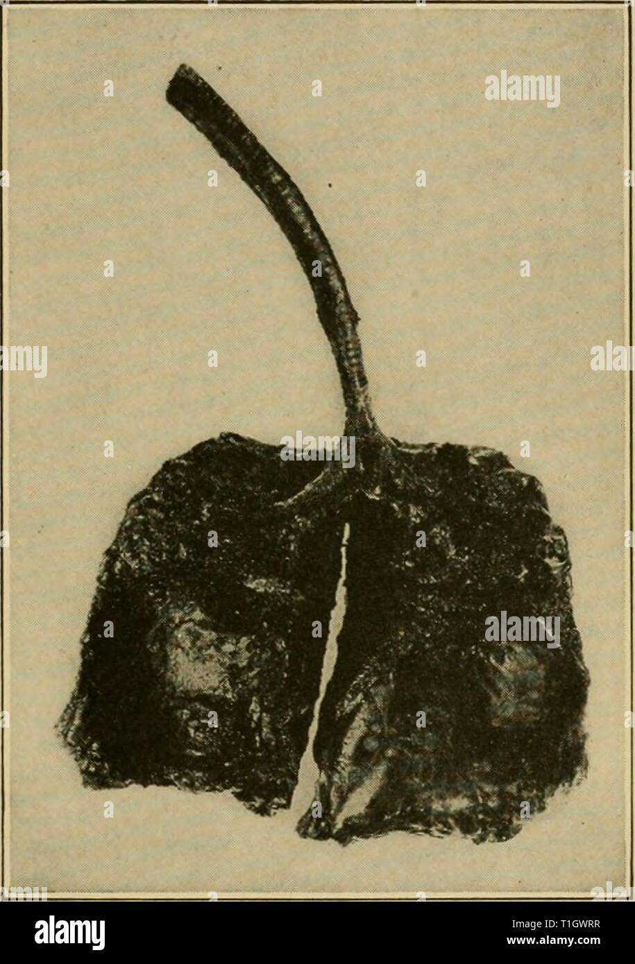 Diseases of poultry; their etiology, Diseases of poultry; their ...