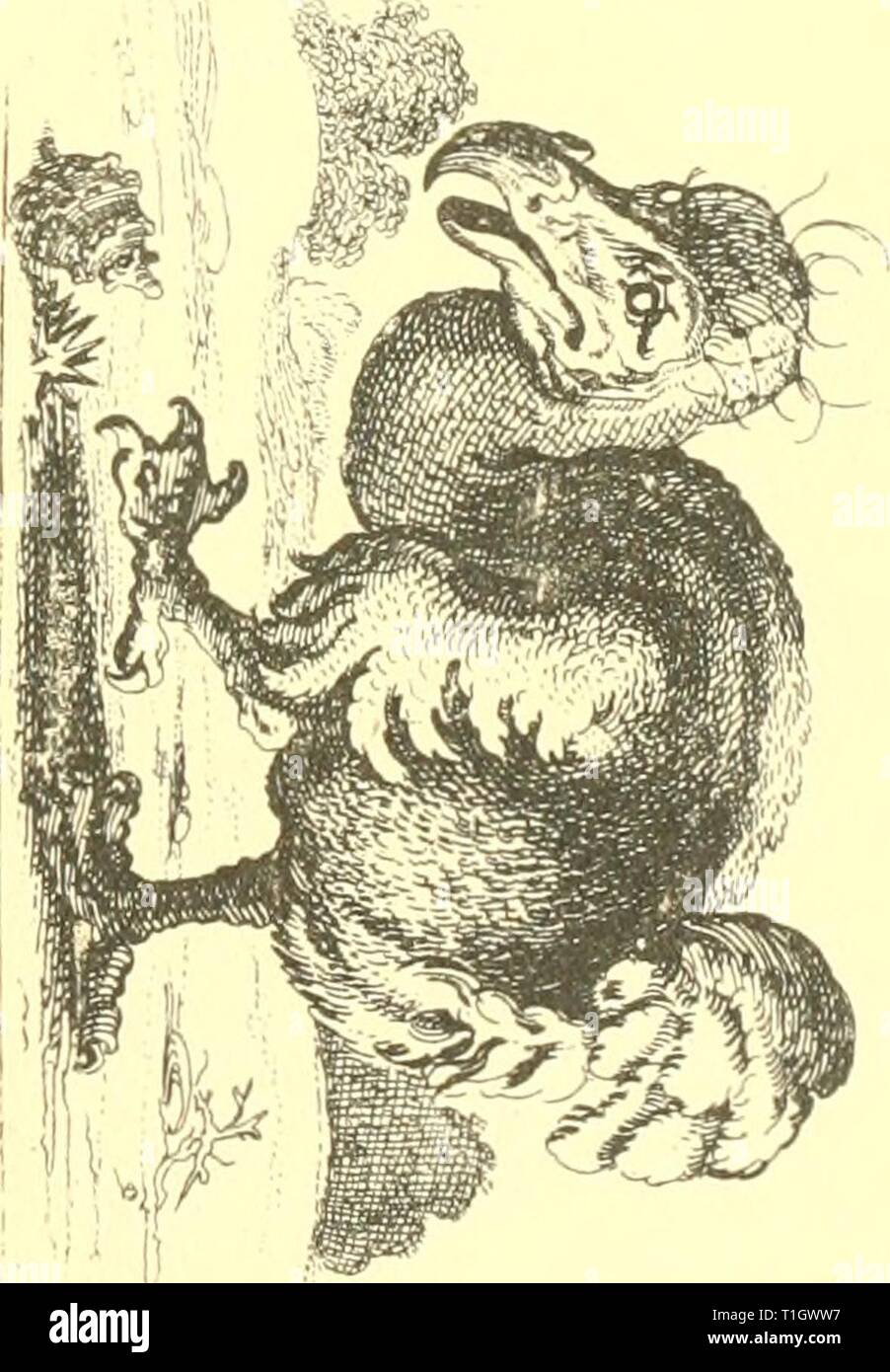 Dodo-studiën Naar aanleiding van de Dodo-studiën. Naar aanleiding van ...
