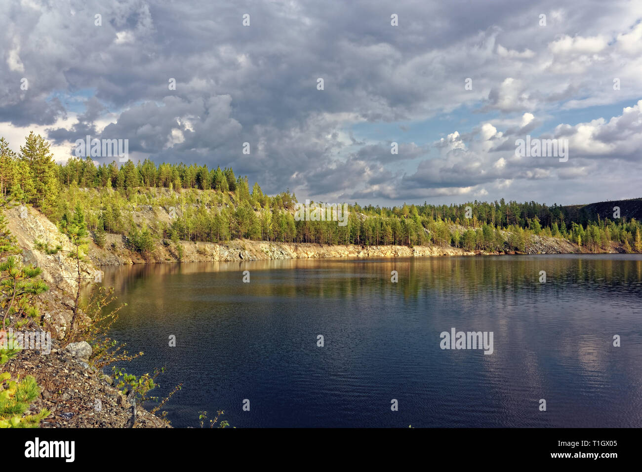 Summer landscape trees reflected in the mirror of the lake lit by ...