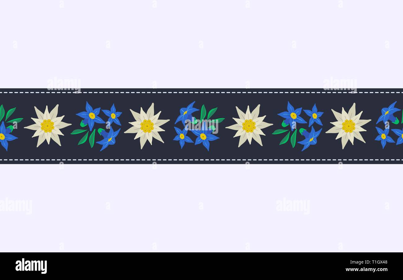 Floral hand drawn seamless pattern border with edelweiss Stock Vector ...