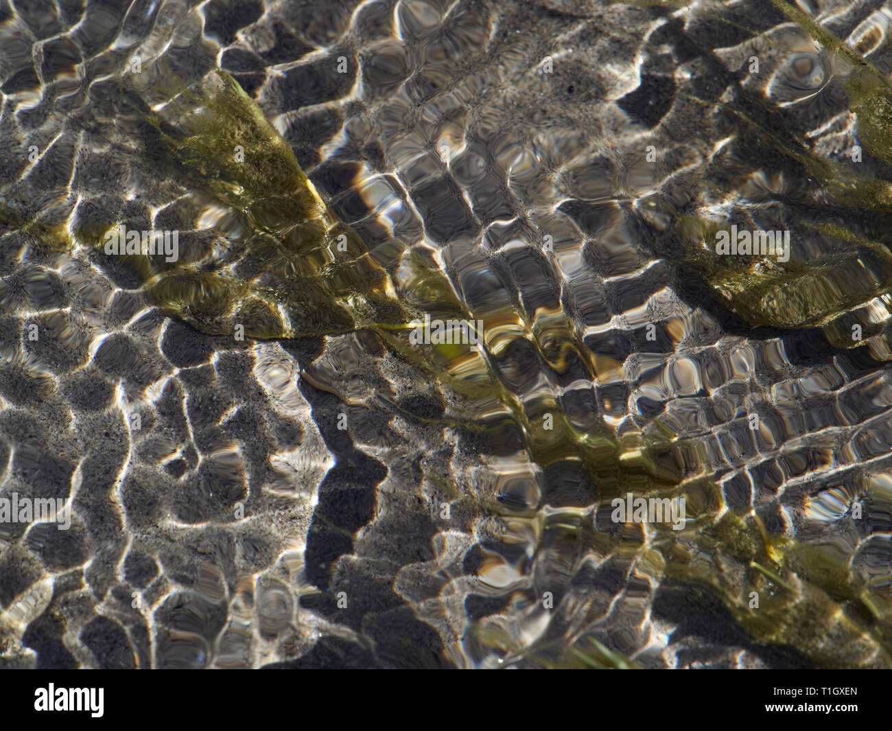 The surface of the transparent water with waves and highlights of light ...