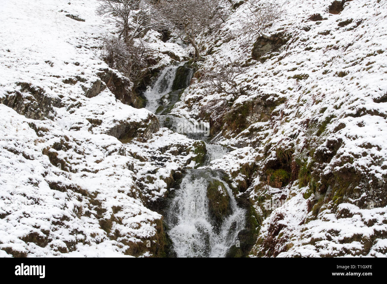 Scottish small stone hi-res stock photography and images - Alamy