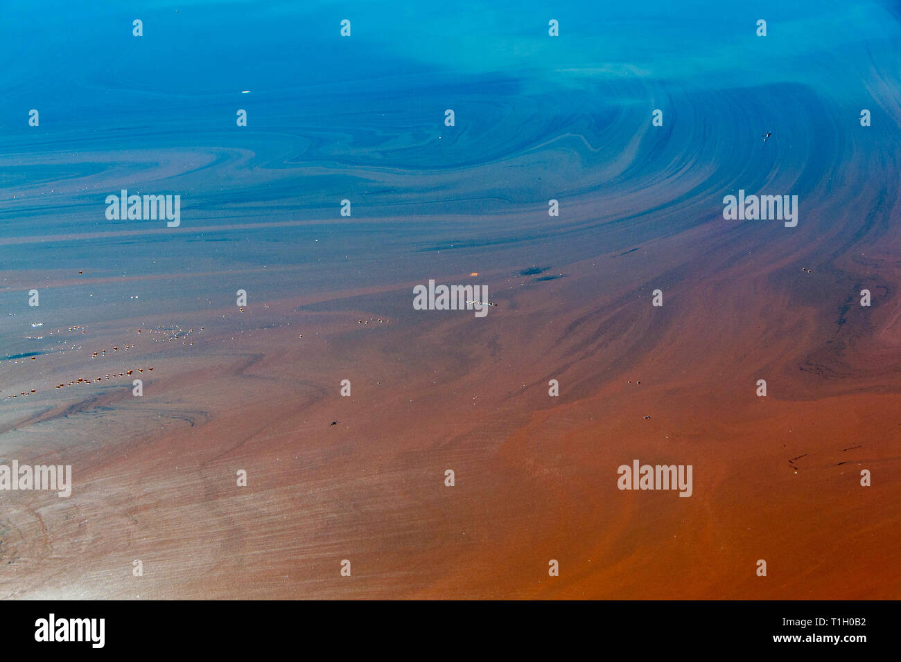 Close-up photography of lake water surface. Water texture Stock Photo ...