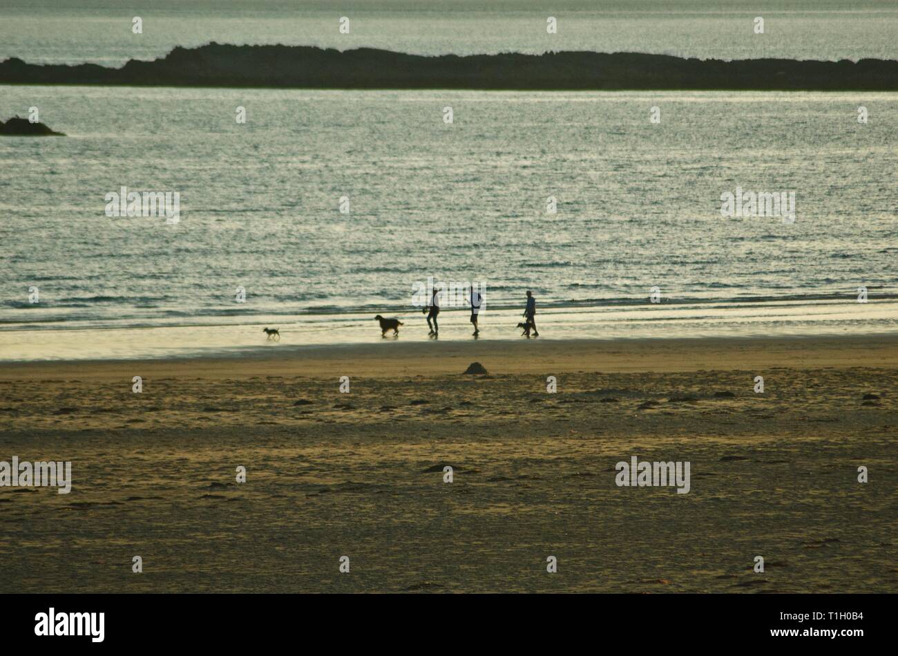 British love of dogs hi-res stock photography and images - Alamy