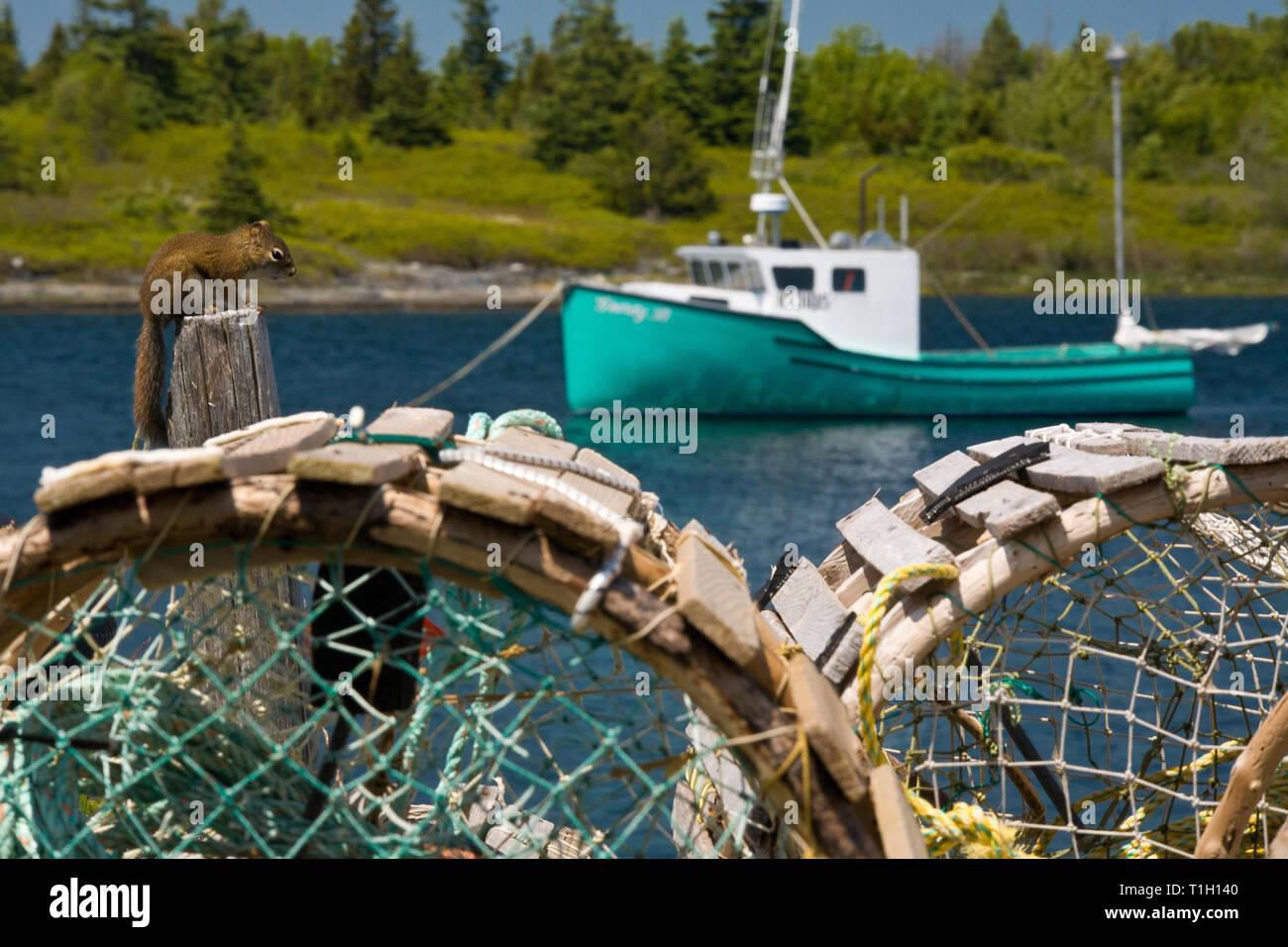 Stonehurst, Lunenburg County, Nova Scotia, Canada Stock Photo - Alamy