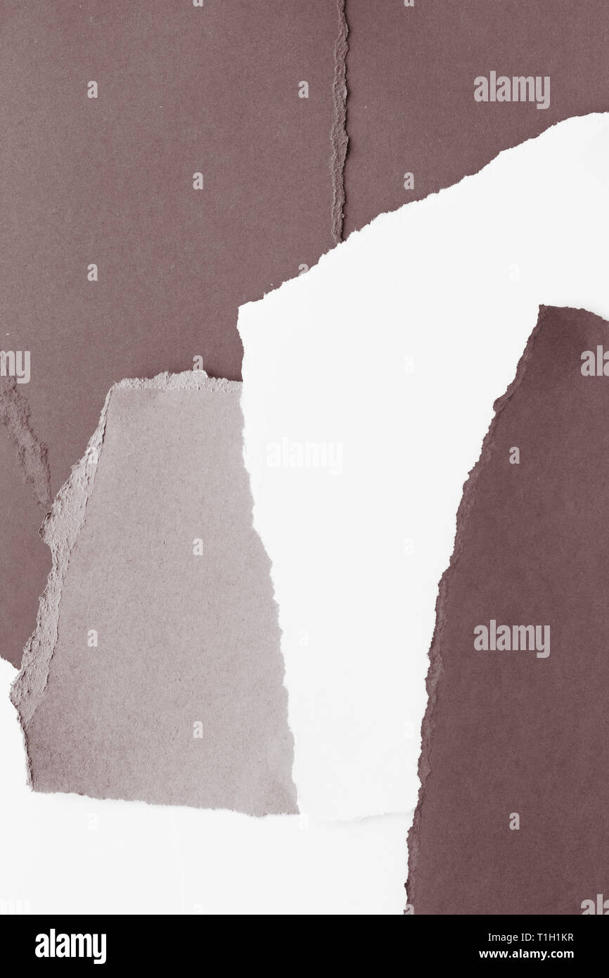 Torn paper texture as background. Creativity takes time Stock Photo - Alamy