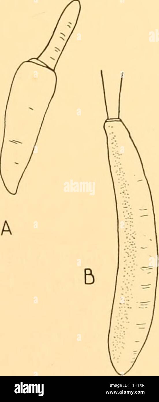 Discovery reports (1934) Discovery reports discoveryreports09inst Year ...