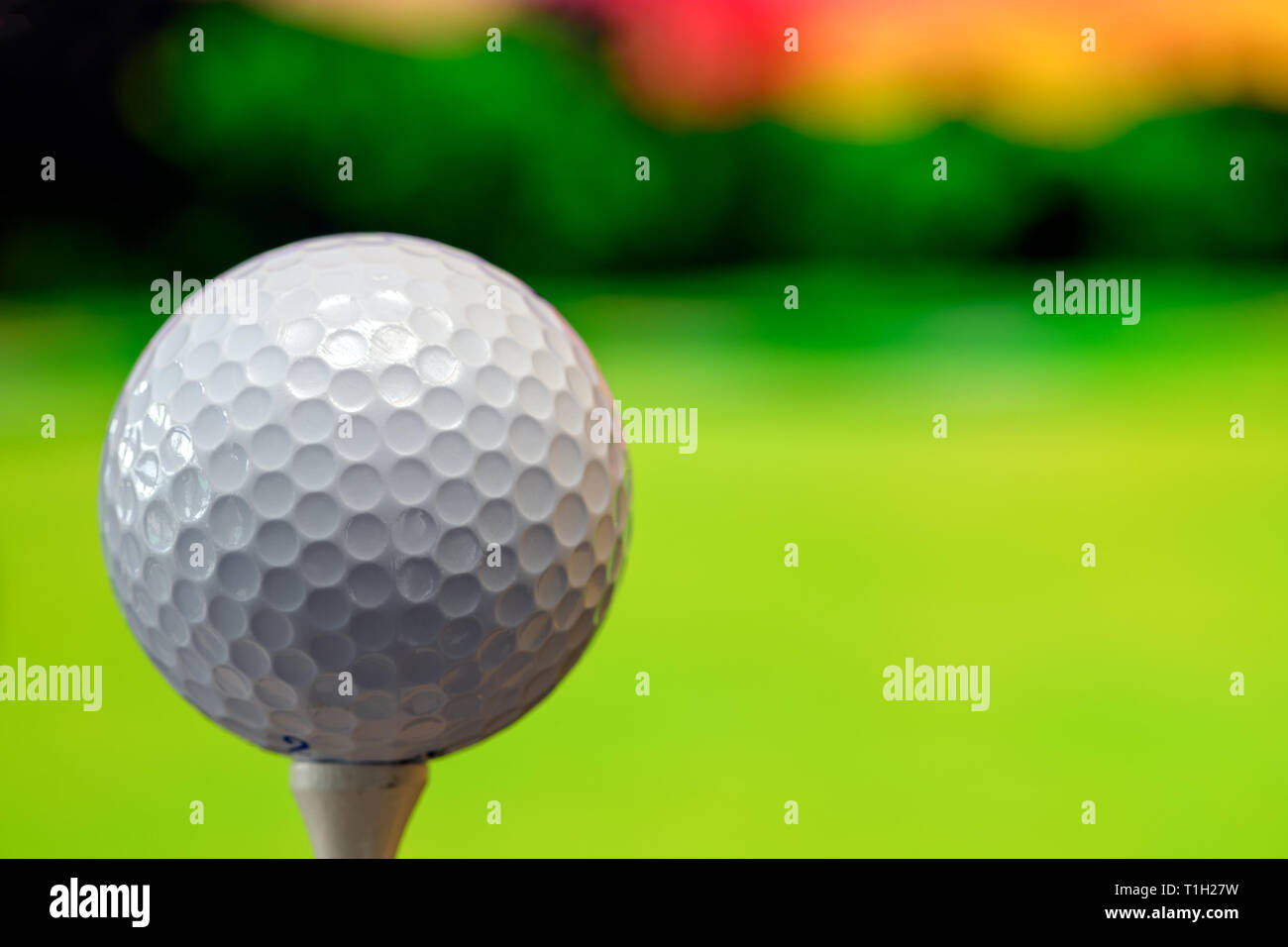 Close up photo of a golf ball in the golf course in a warm sunset light ...