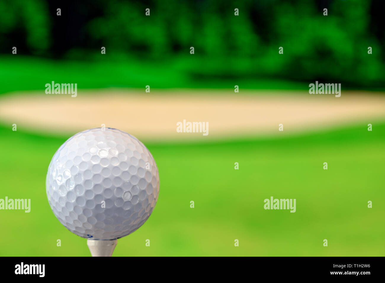 Close up photo of a golf ball in the golf course in a warm sunset light ...