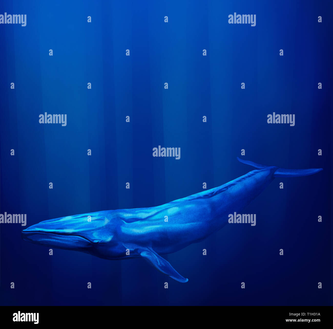 Large blue Whale under the water with sun light streaming down from the ...