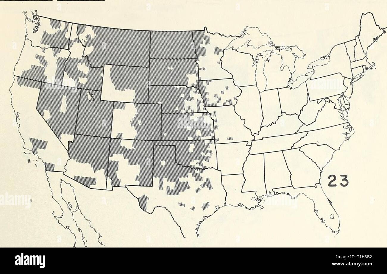 Distribution maps of some insect Distribution maps of some insect pests ...
