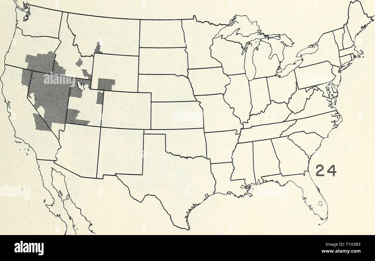 Distribution maps of some insect Distribution maps of some insect pests ...