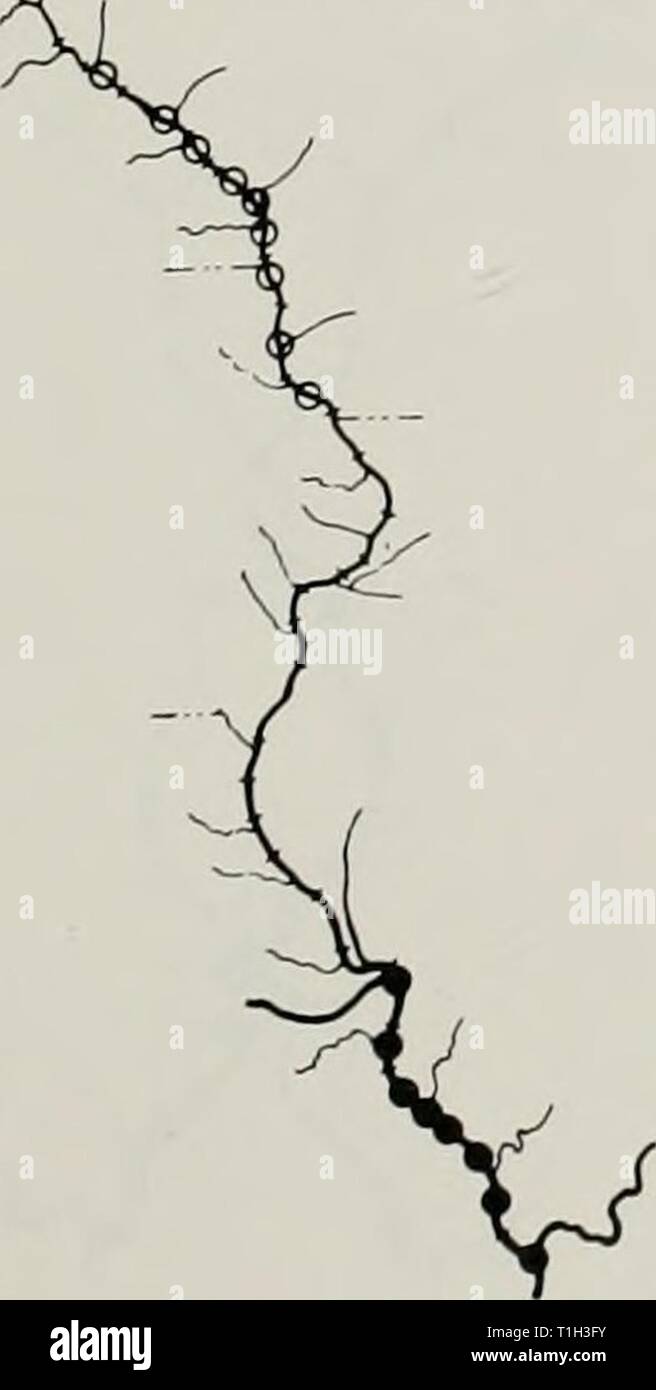 A distributional atlas of Upper A distributional atlas of Upper ...