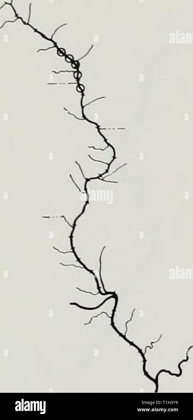 A distributional atlas of Upper A distributional atlas of Upper ...