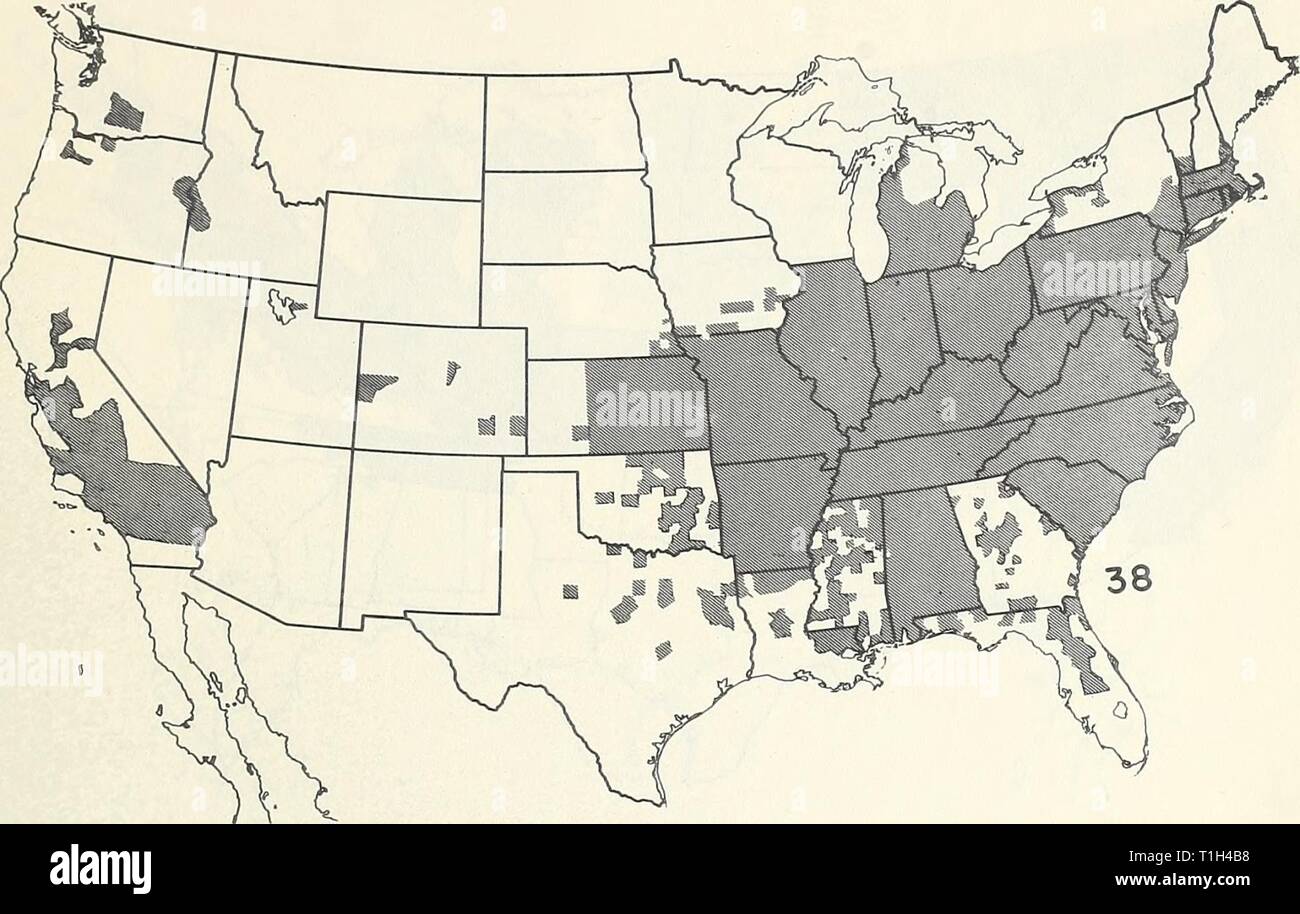 Distribution Maps Of Some Insect Distribution Maps Of Some Insect Pests