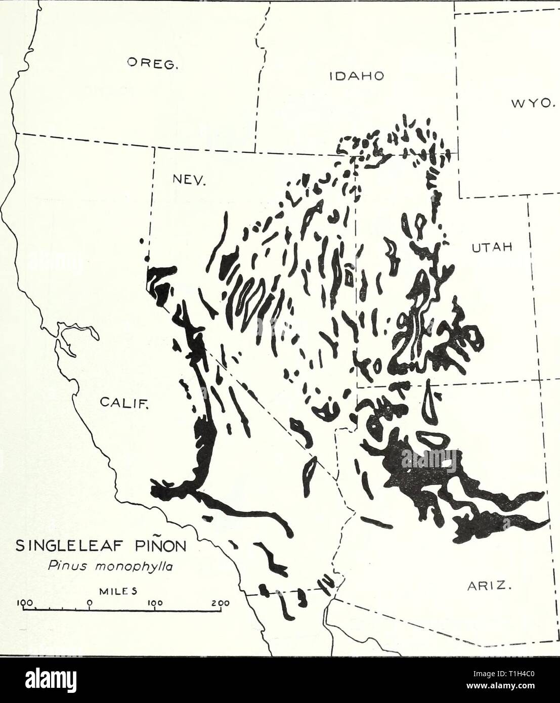 Pinon map hi-res stock photography and images - Alamy