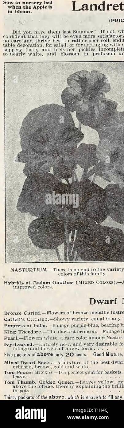 Landreth seed hi-res stock photography and images - Alamy
