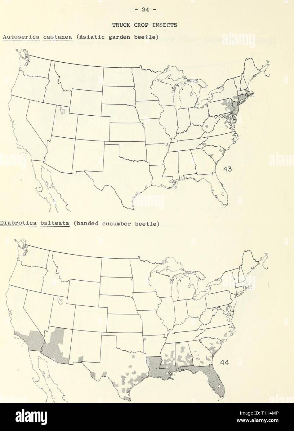 Distribution Maps Of Some Insect Distribution Maps Of Some Insect Pests