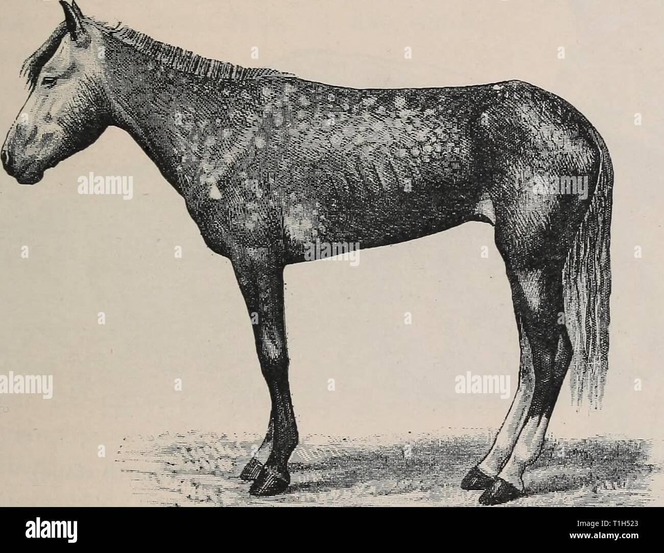 Cachexia hi-res stock photography and images - Alamy