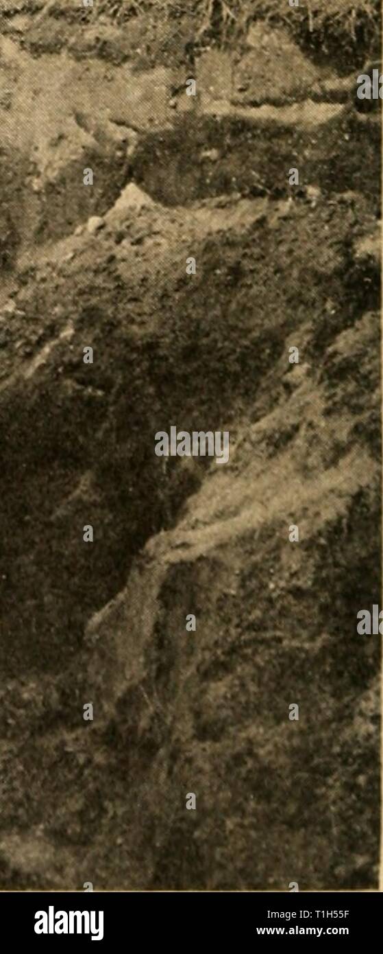 Murk picture hi-res stock photography and images - Alamy