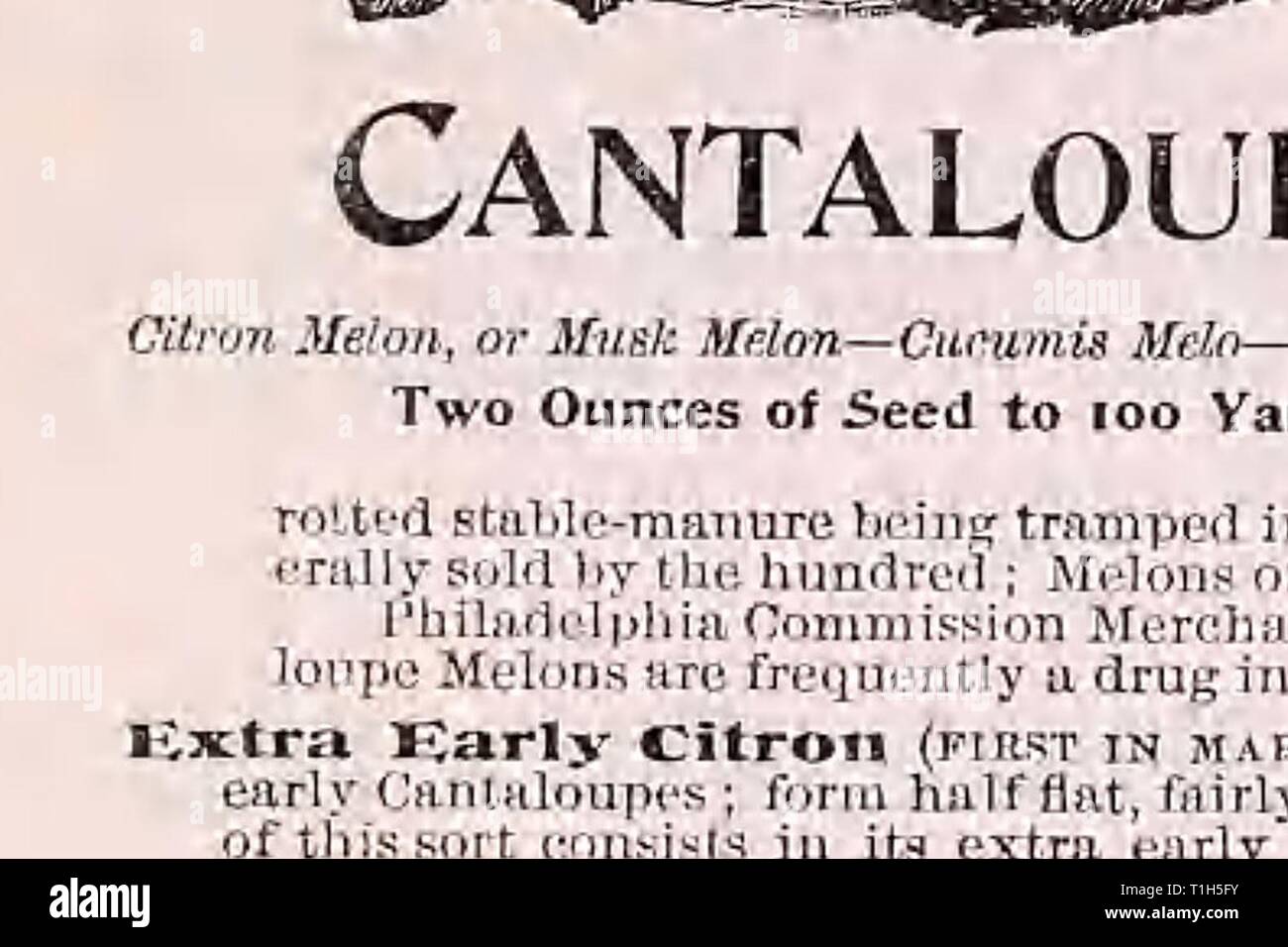 Landreth seed hi-res stock photography and images - Alamy