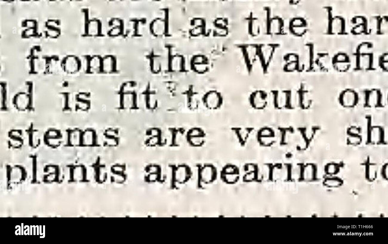 Landreth seed hi-res stock photography and images - Alamy