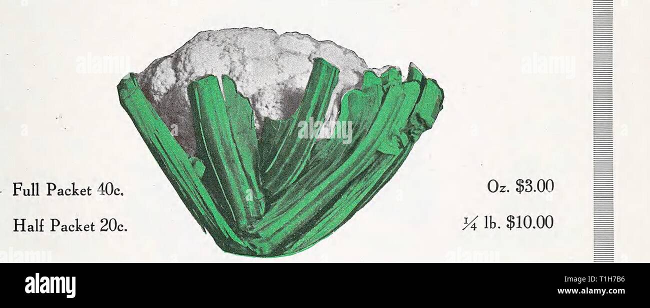 Landreth seed hi-res stock photography and images - Alamy