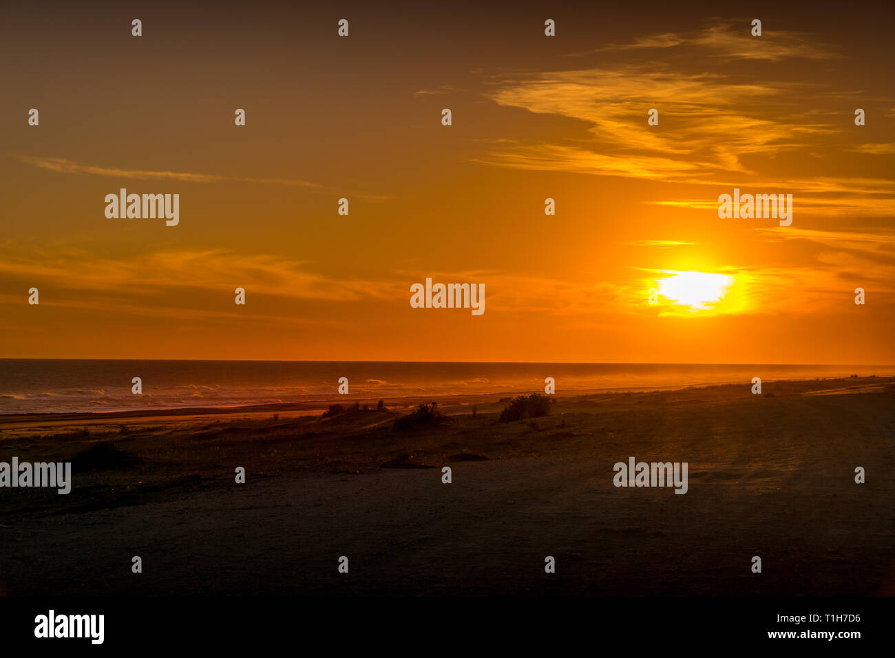 Golden sunset on the beach with the sun over the beach Stock Photo - Alamy